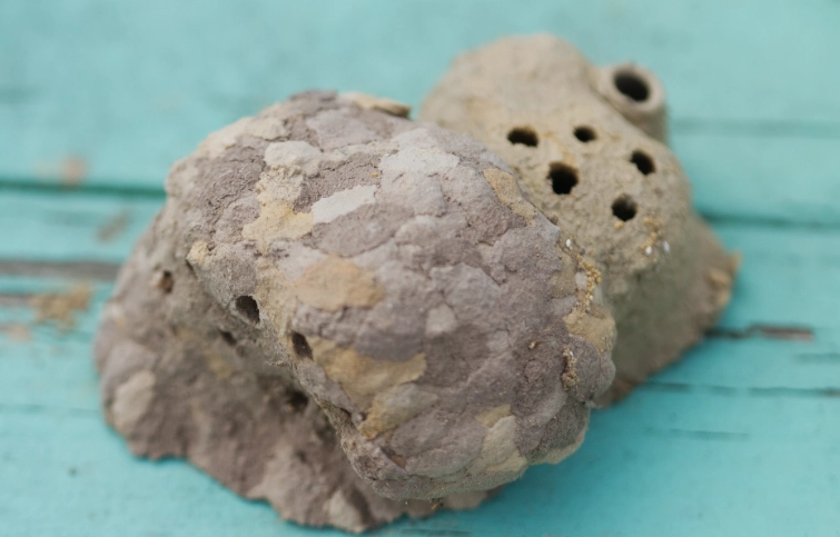 Mud Beehive Guide: Natural Beekeeping, Pros & Cons, Building Steps